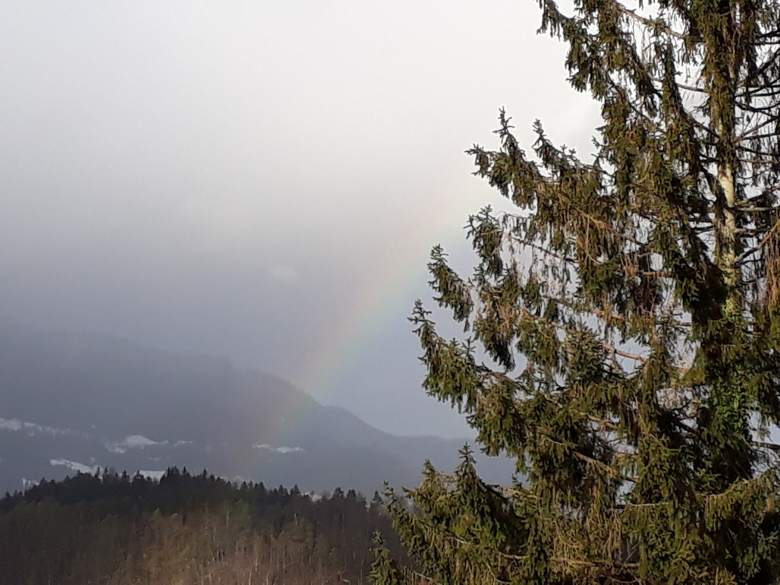 VSE BARVE ZIME / ALL COLOURS OF THE WINTER