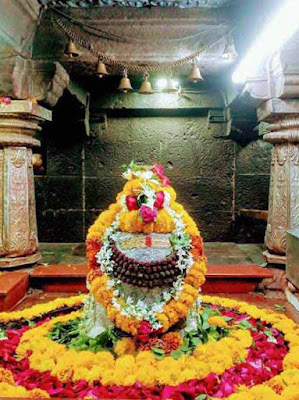 Story of Nageshwar Mahadev | Hindu Blog