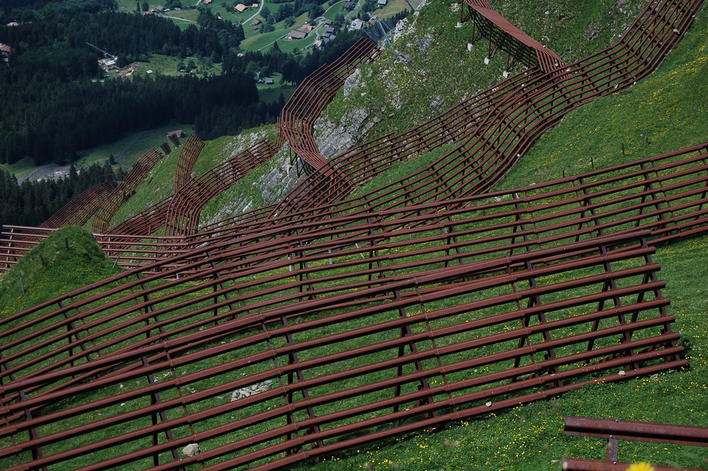 Avalanche Fences Exposed! ~ Kuriositas