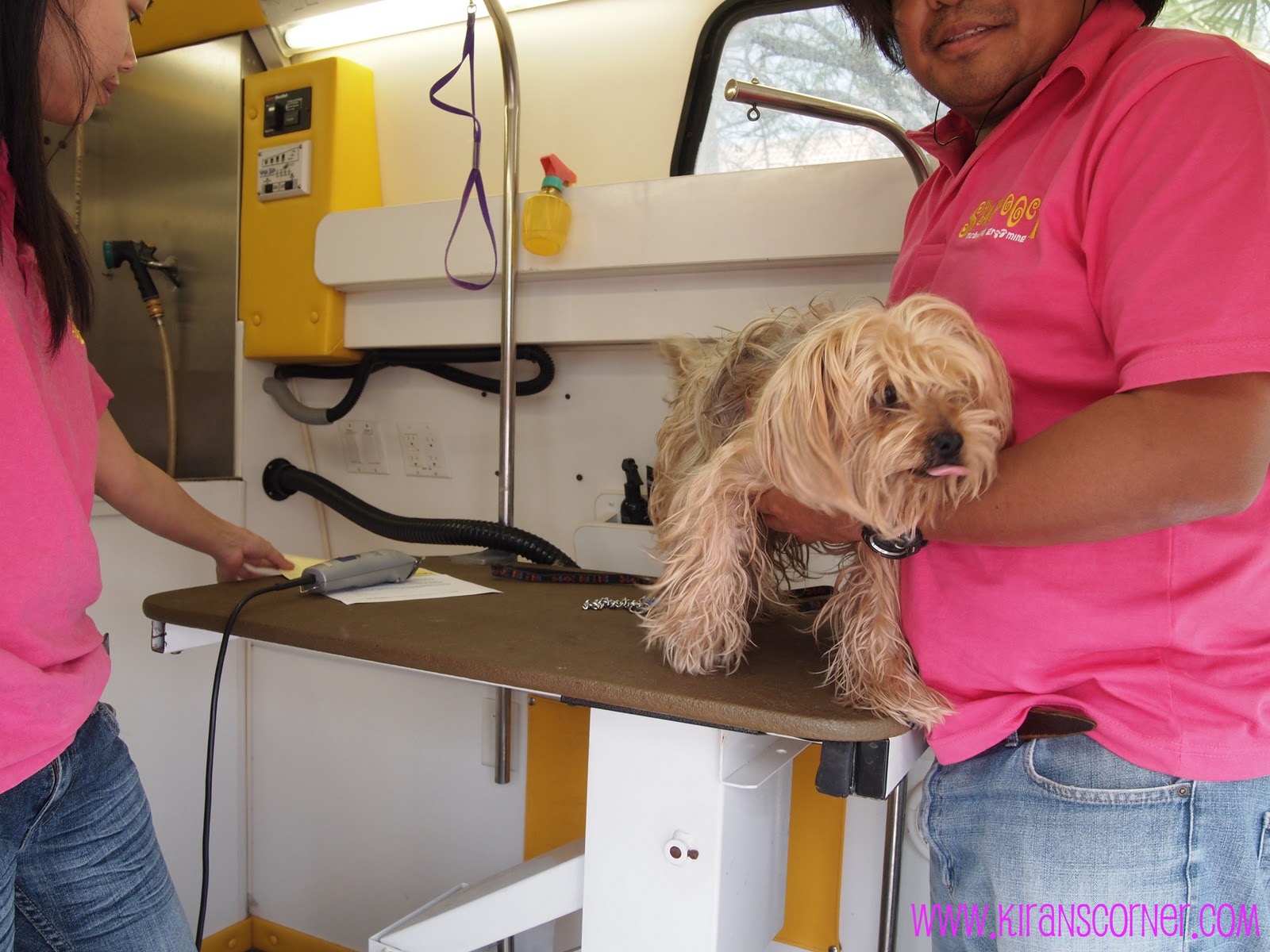 Kiran's Corner: Review of "Shampooch"- Mobile Dog Grooming!