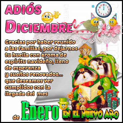 Adios Diciembre, Gracias Por Todo! Enero Sorprendeme, Aquí Voy ...