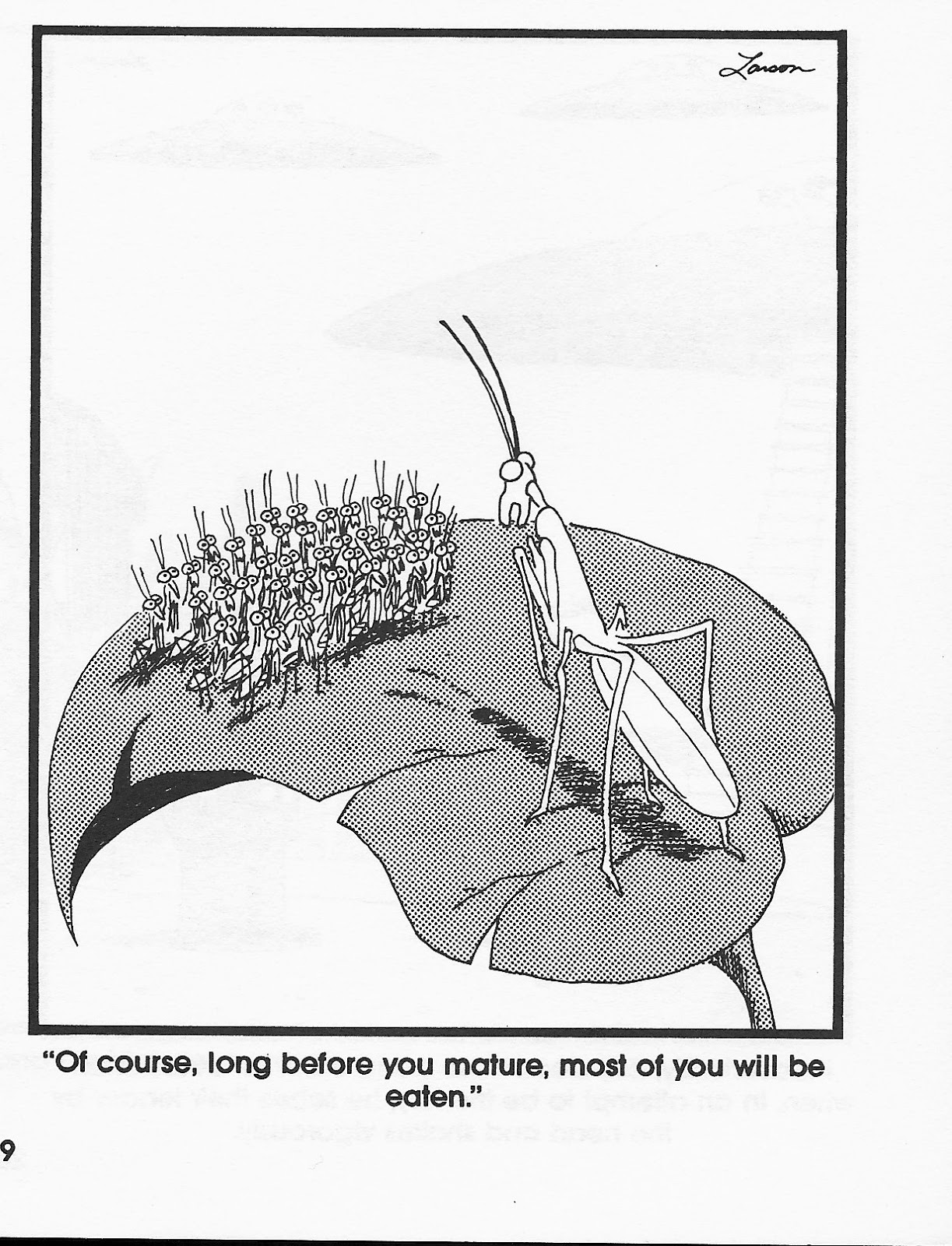 Thoughts From the Right Brain: Creation Science - A "Far Side" Look at ...