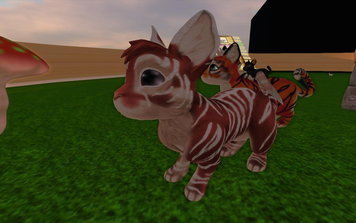 The Master of Disaster...Like Bigfoot, Only Real !: Meeroos VS. Fennux