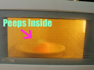 SUKAFISH!!!: I Failed at Microwaving a Peep