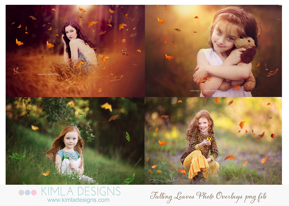 Falling Leaves Photo Overlays for Photographers - Kimla Designs Photography