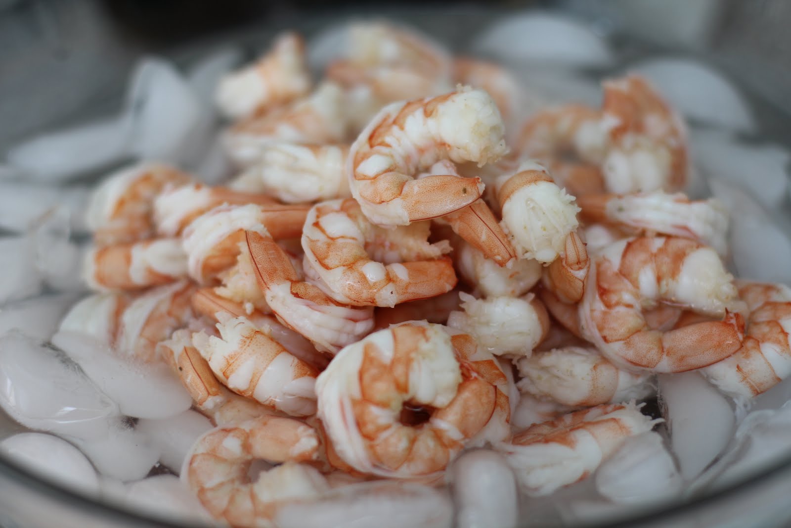 Salvation Sisters: Super Special Spicy Pickled Shrimp