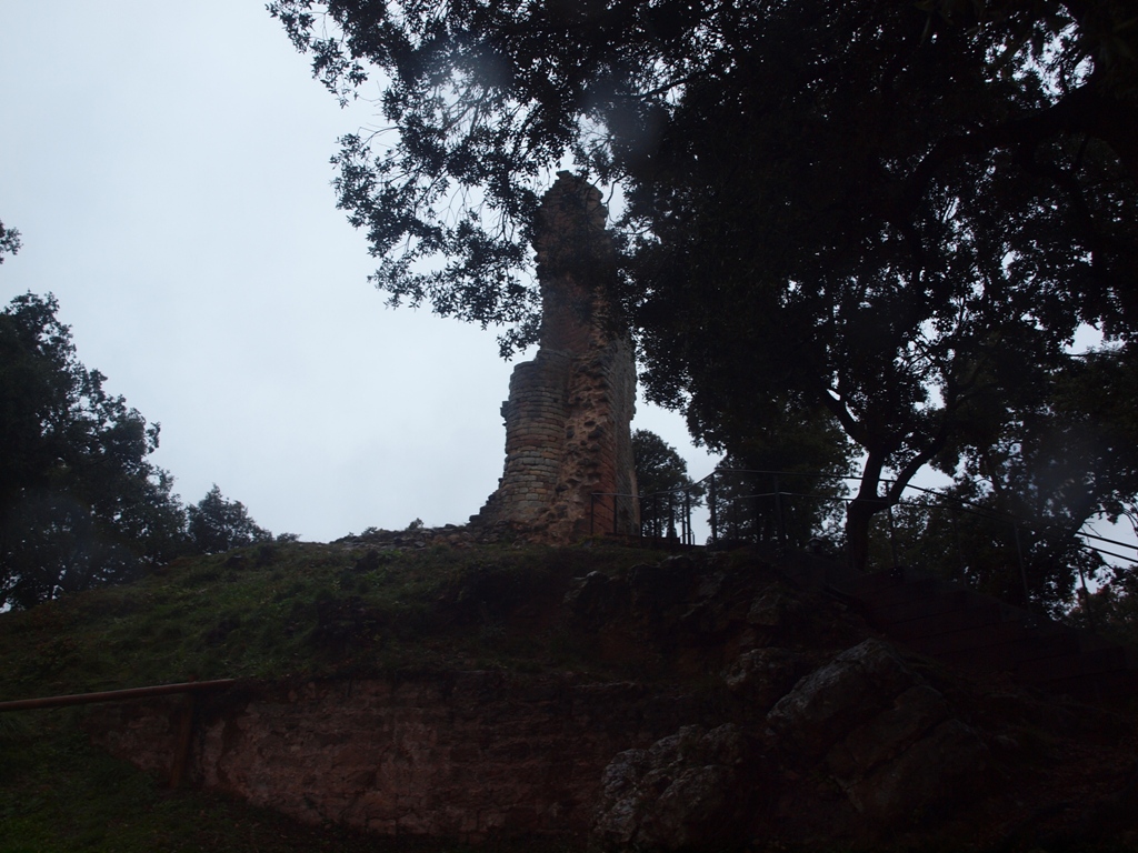 SOM DE PÍCNIC: Àrea de pícnic Font de Sant Martí, El Brull, Osona