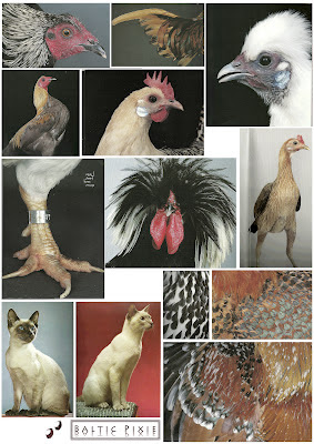 Yolantele: Anatomy and Animal References