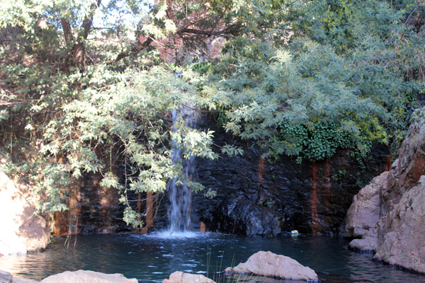 One Day in the Life of Jerome: Raw Sewerage into the Botanical Gardens