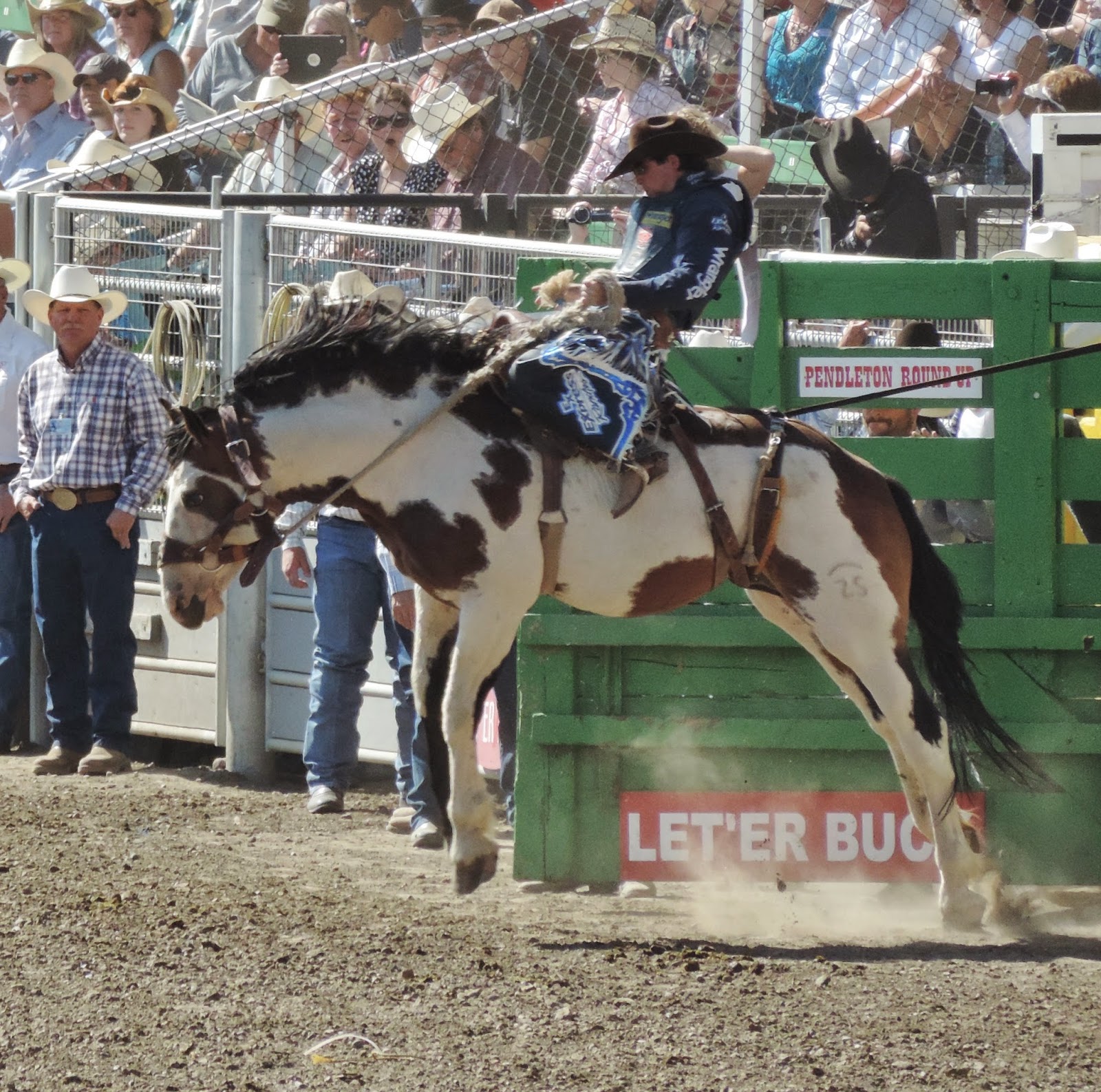 2015 TRAVELS : FINALE RODEO AT PENDLETON ROUND-UP