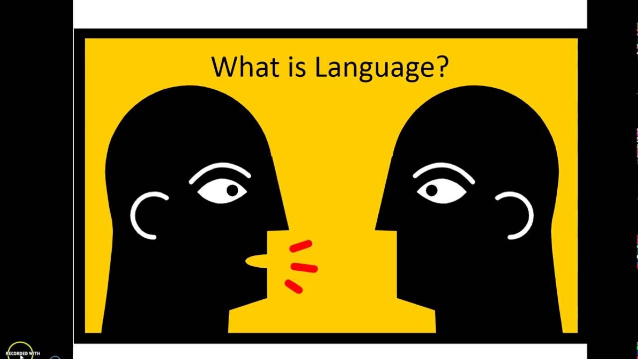 WHAT IS LANGUAGE? WHAT ARE BROCA'S AND WERNICKE'S AREAS? - English ...