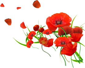 Életrajzok és Művek: Pipacs versek