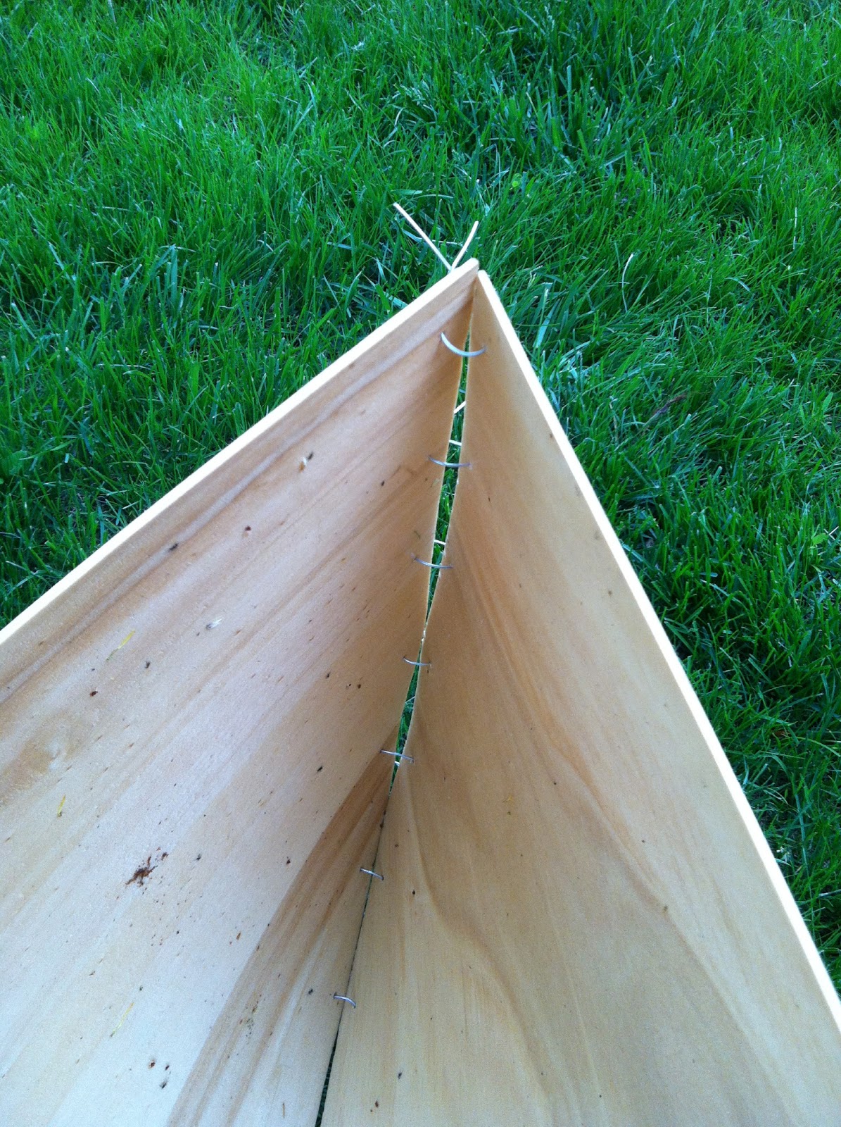A plywood canoe summer project: The canoe takes shape!