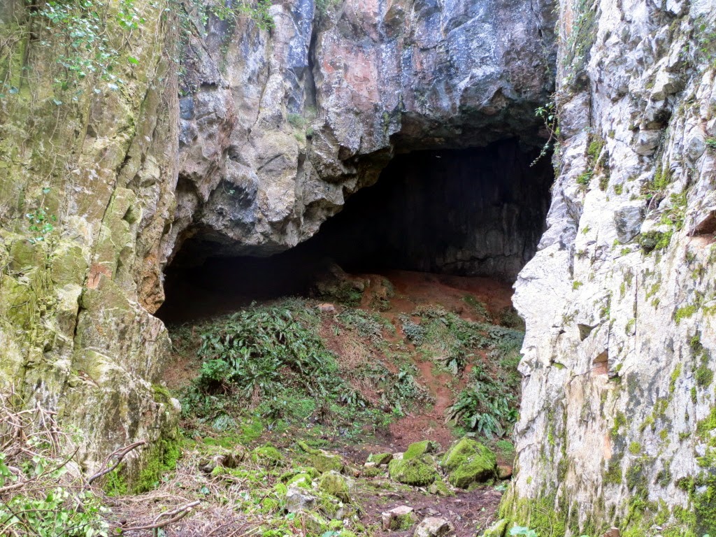 JSBlog - Journal of a Southern Bookreader: Bones beneath Brixham