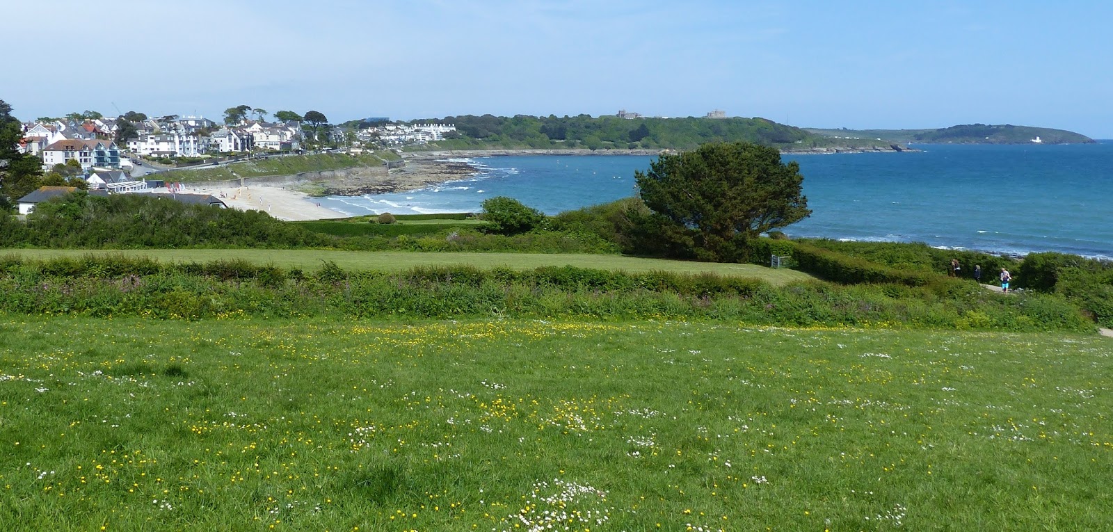 MEI's Barry Wills: Swanpool Beach to Falmouth Town