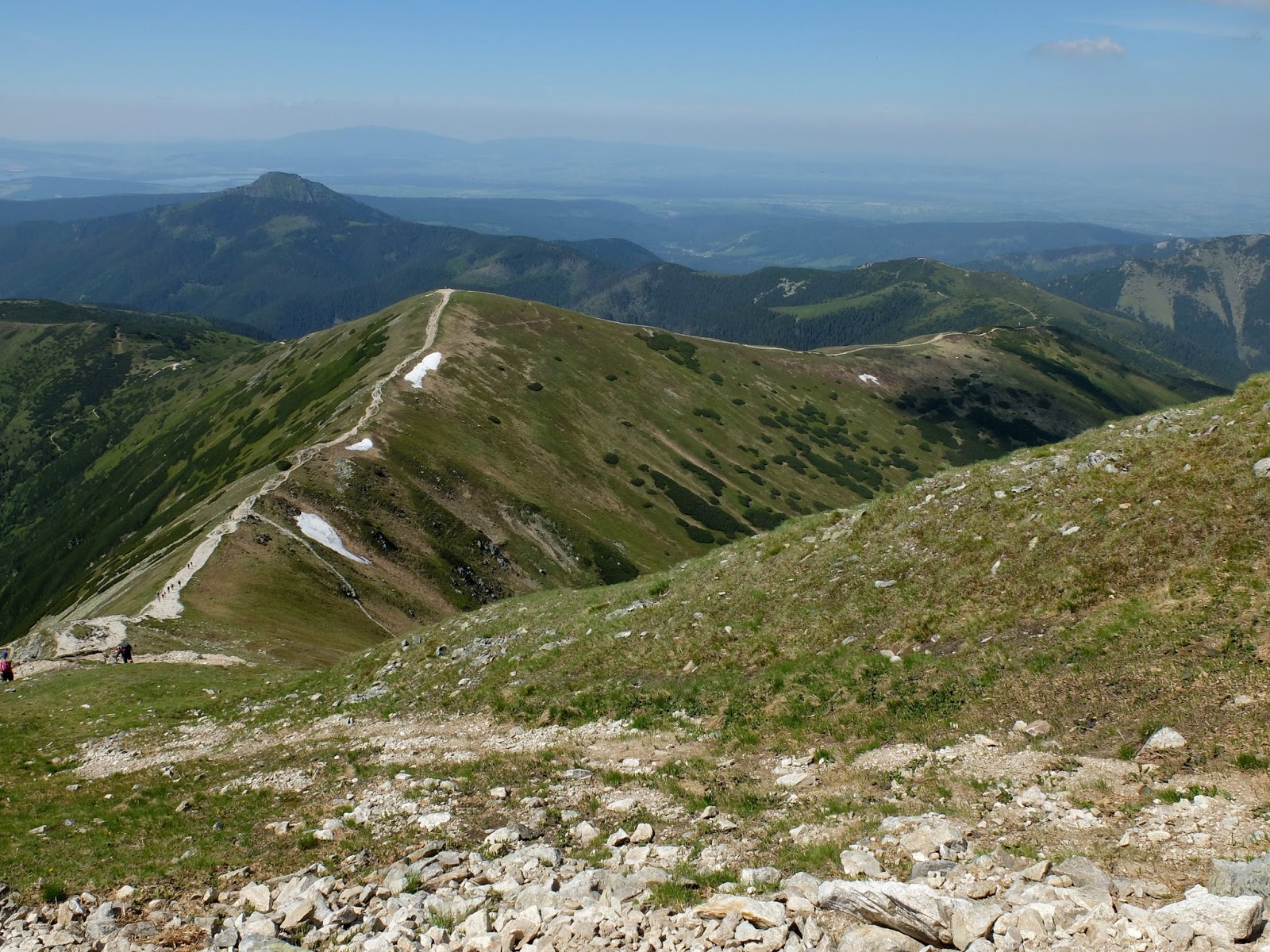 Ruda z wyboru: Klasyka gatunku: Grześ - Rakoń - Wołowiec