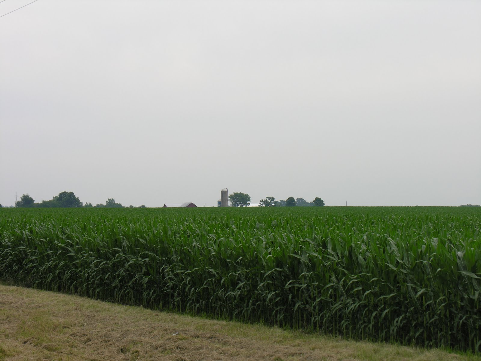 Cal & Rachel Litwiller's Adventures: Oskaloosa, IA to Mt Pleasant, IA