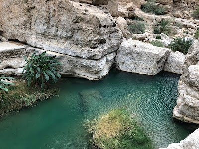 Adela Tarpan: Wadi Wadi Wadi
