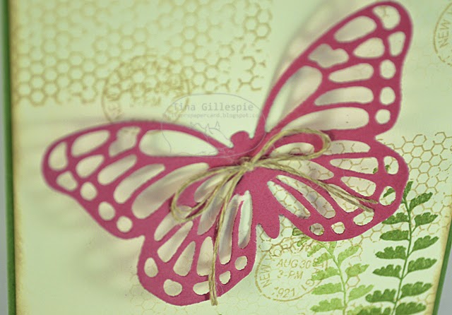 Scissors Paper Card: First Play With Butterfly Basics