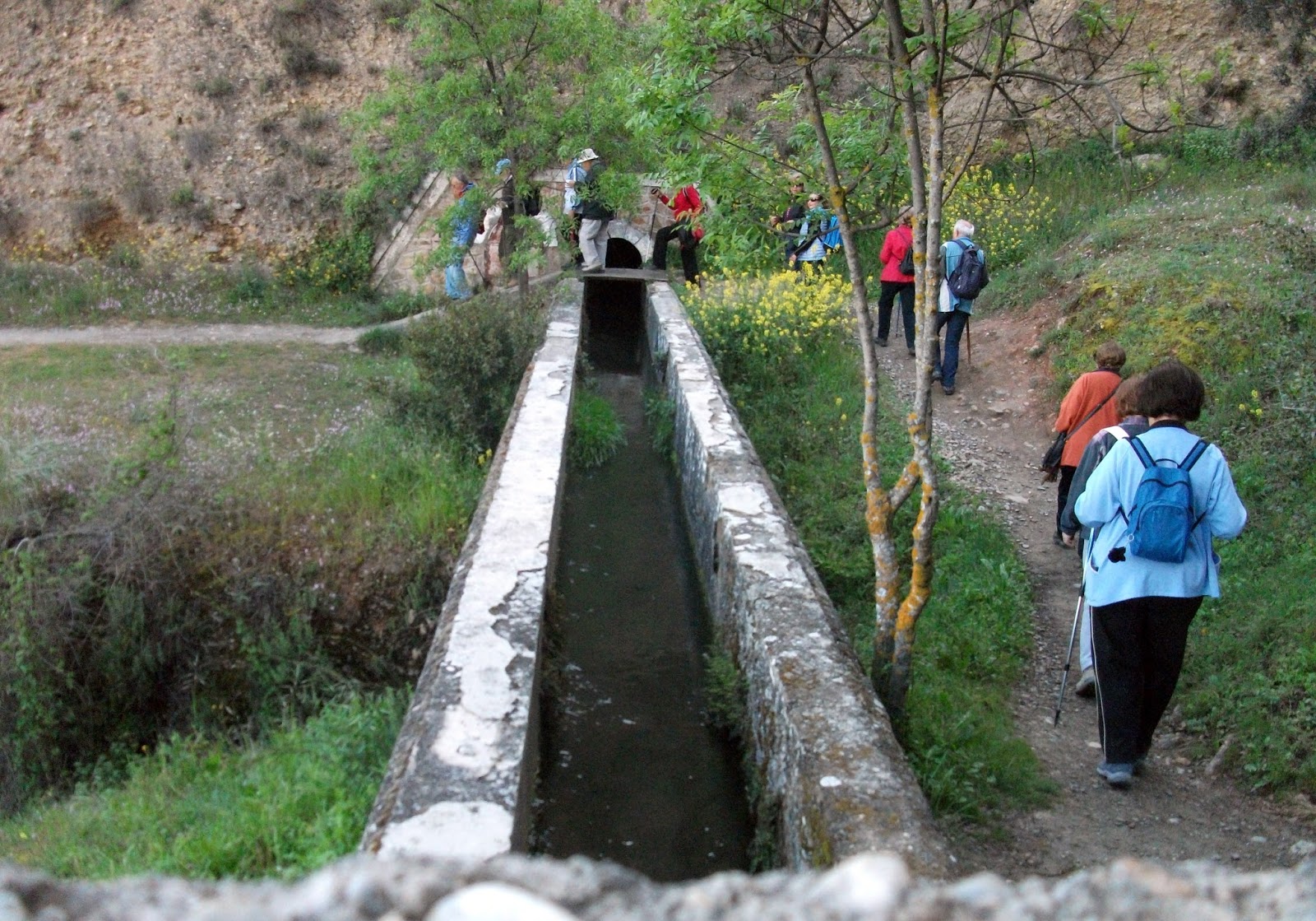El Blog de Ciempies: Primavera en la Acequia Real