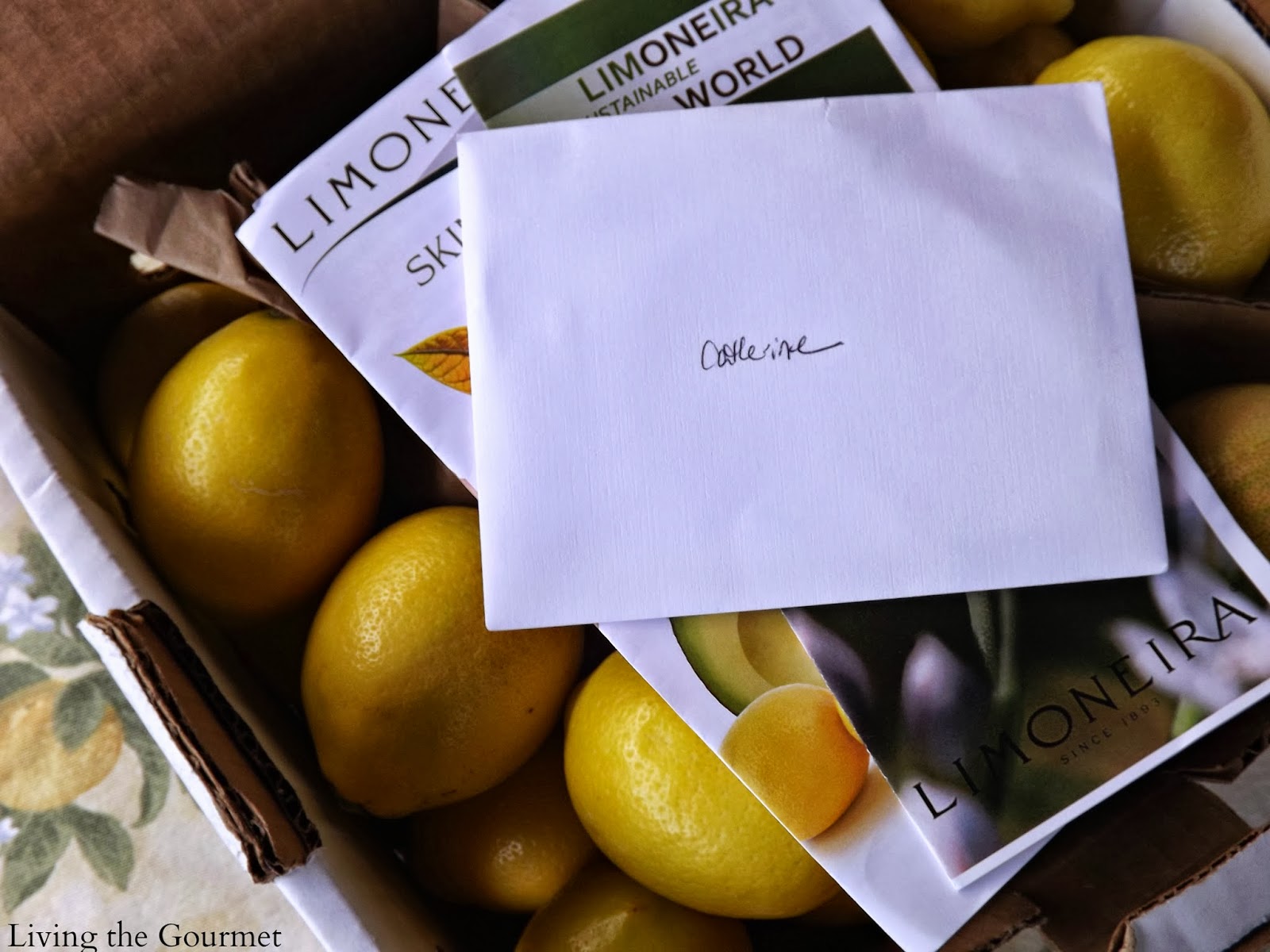 Grape and Lemon Frosty - Featuring Limoneira Lemons - Living The Gourmet