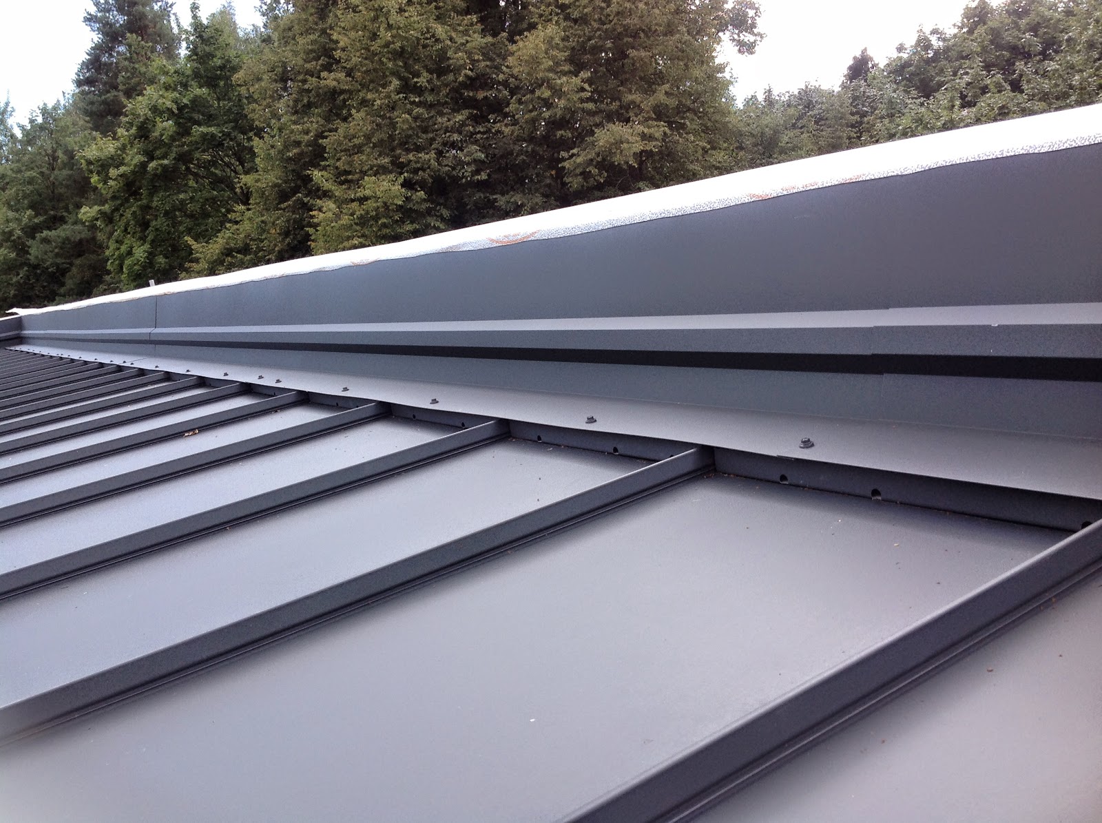 Statau Nama Inga ir Valdas: Stogas baigtas