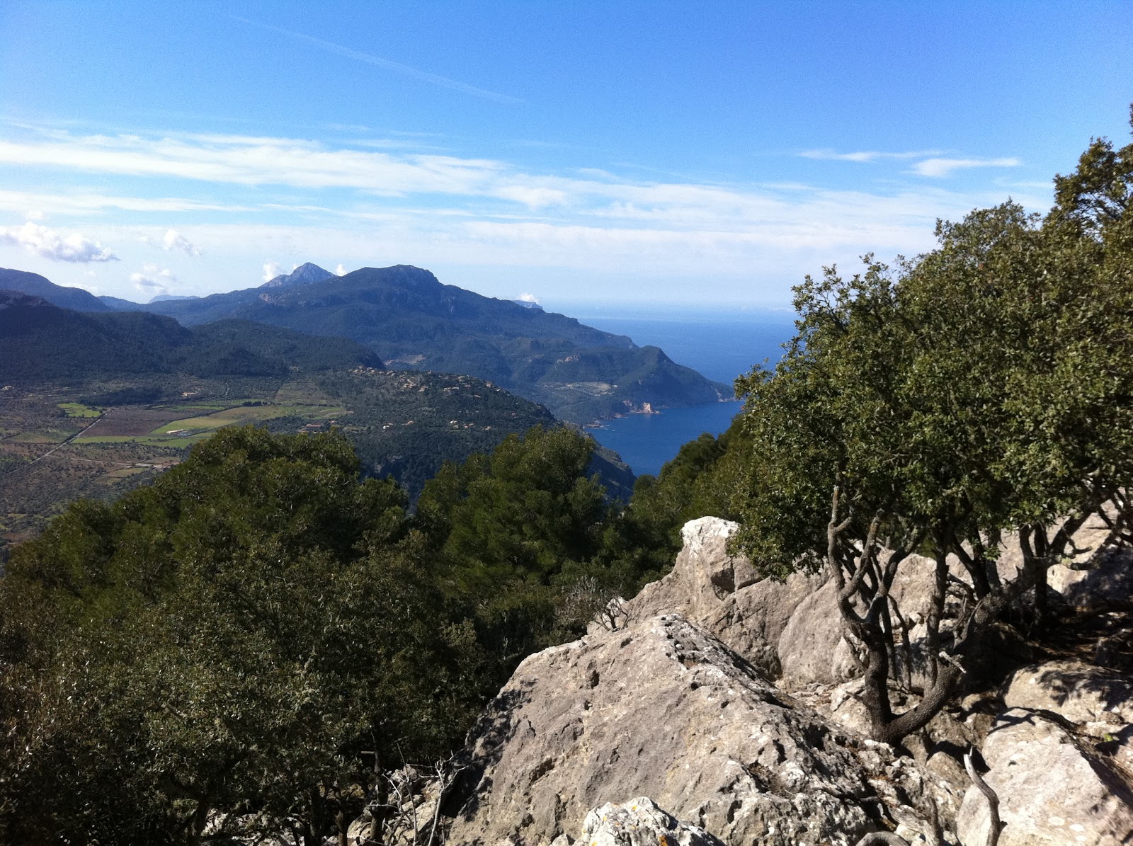 DE L'EMPORDÀ A LA SERRA DE TRAMUNTANA: DE VALLDEMOSA AL TEIX