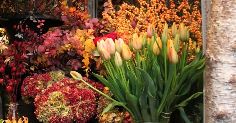 Paris Through My Lens: Beaucoup de fleurs