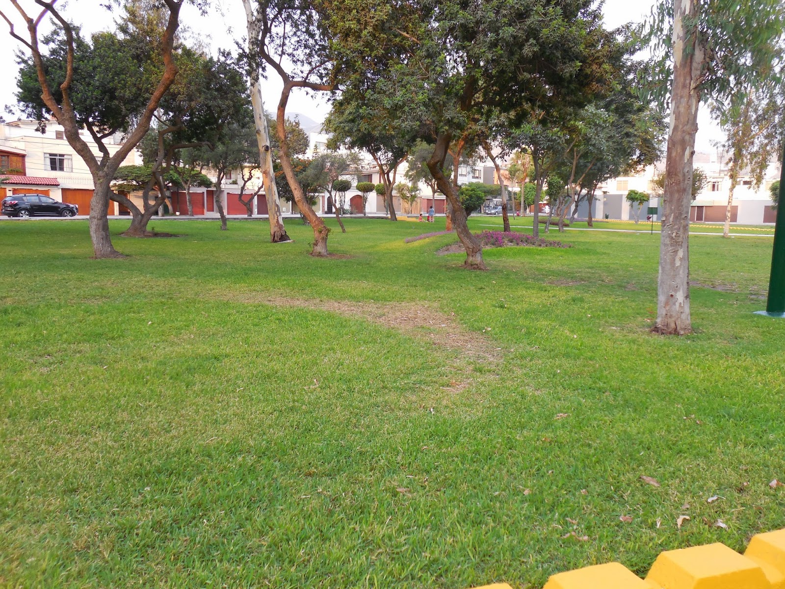 Robert Mix's Blog: A Pretty Good Day In Lima