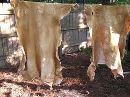 Colonial Quills: Furs: Trading and Bartering