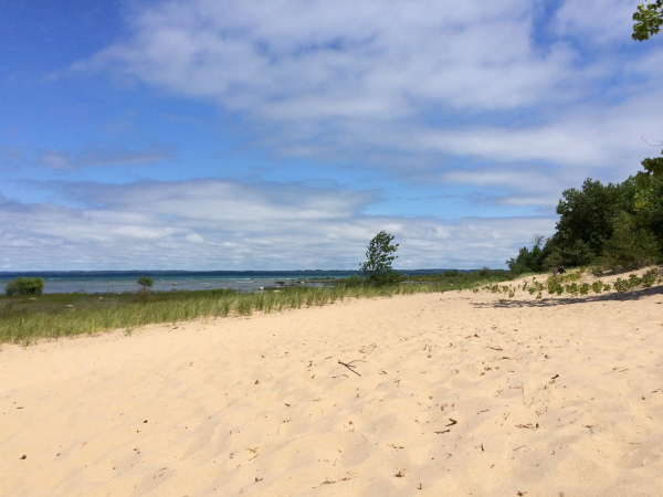 ALIQUID: Painted Sabotage The Mermaid's Song and more vacation pics!