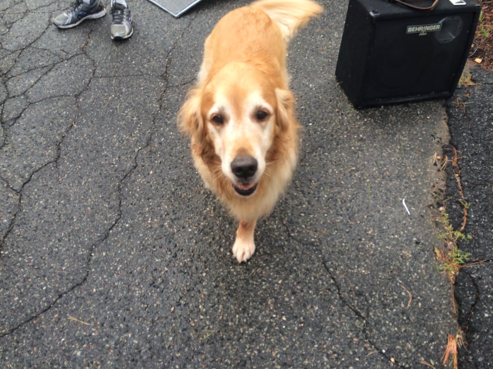 On Every Street: Boston Marathon – Jimmy Fund Walk