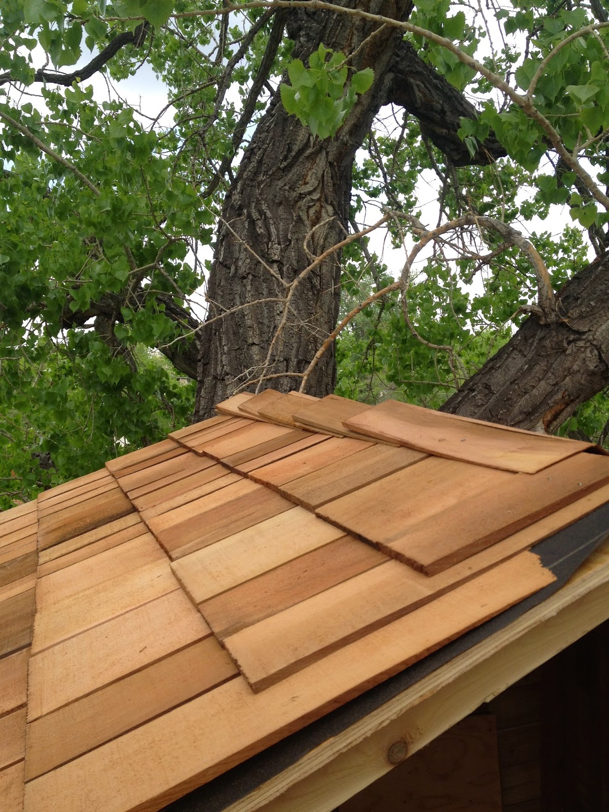 The Treehouser: Part 15: The Treehouse Takes Shape