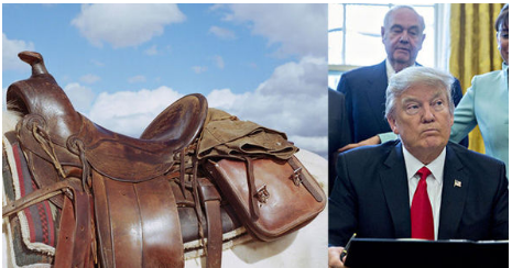 "(As) rare as rocking horse crap" nghĩa là gì?