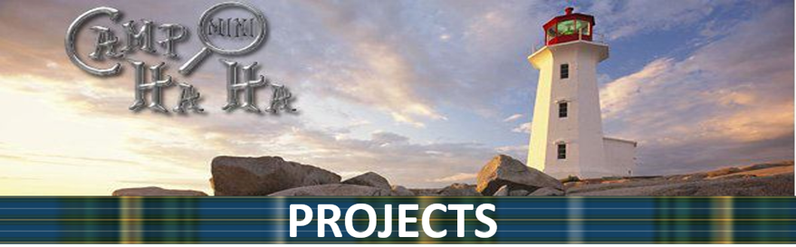 Camp Mini Ha Ha Projects