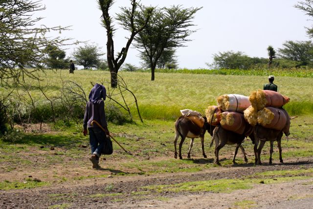 Ordinary Hero Blog: Poor in the Countryside of Ethiopia