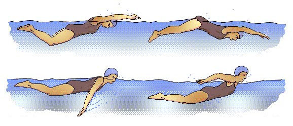 Iniciació a la natació: L'Estil de Papallona