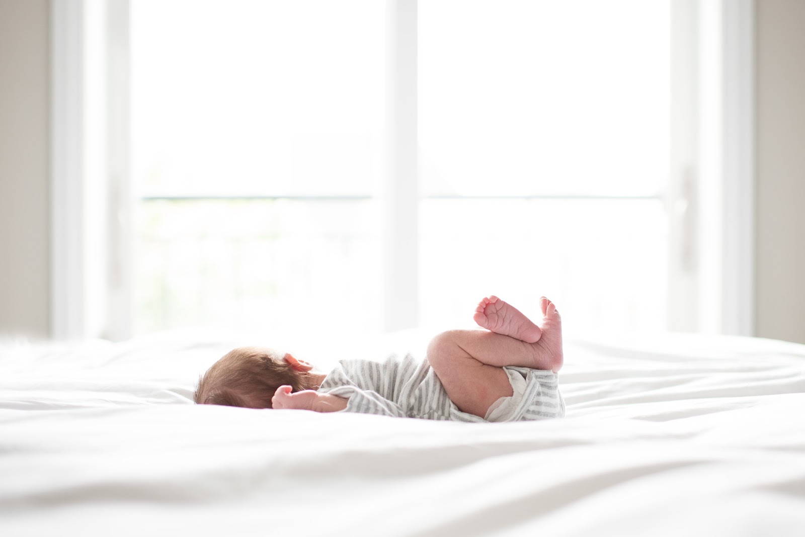 Meet Teddy (See Jane's Baby) - See (Anna) Jane.