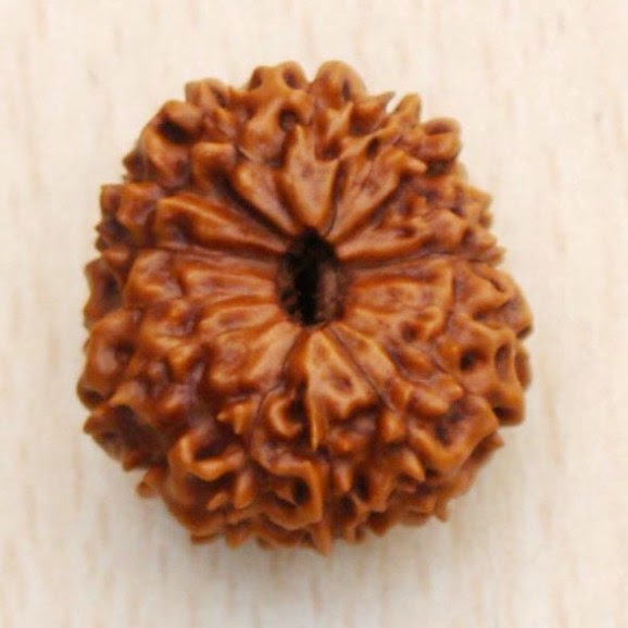 KHASIAT MANFAAT BIJI JENITRI ( GENITRI ): Maret 2015