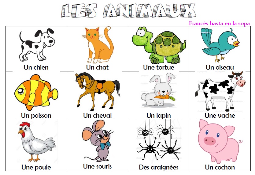 APRENDEMOS FRANCÉS: LES ANIMAUX