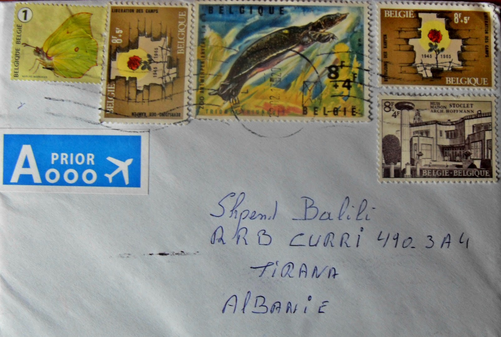 COVER SHPEND BALILI: BELGE