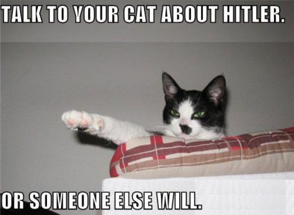 Kitlers - Cats, that look like Hitler - Thema anzeigen | Das Pinke Forum