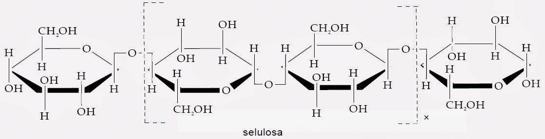 Pras Academy - SMP: Molekul dalam Benda Mati dan Makhluk Hidup