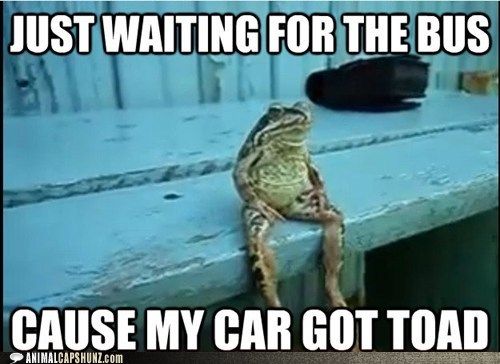 Funny Sayings For Instagram HD Collection Zone funny-sayings-for-instagram-hd-collection-zone
