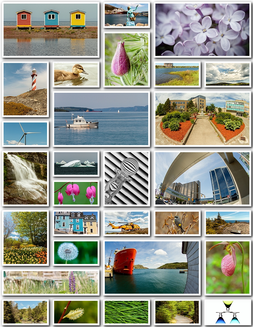 Bitstop: June Collage