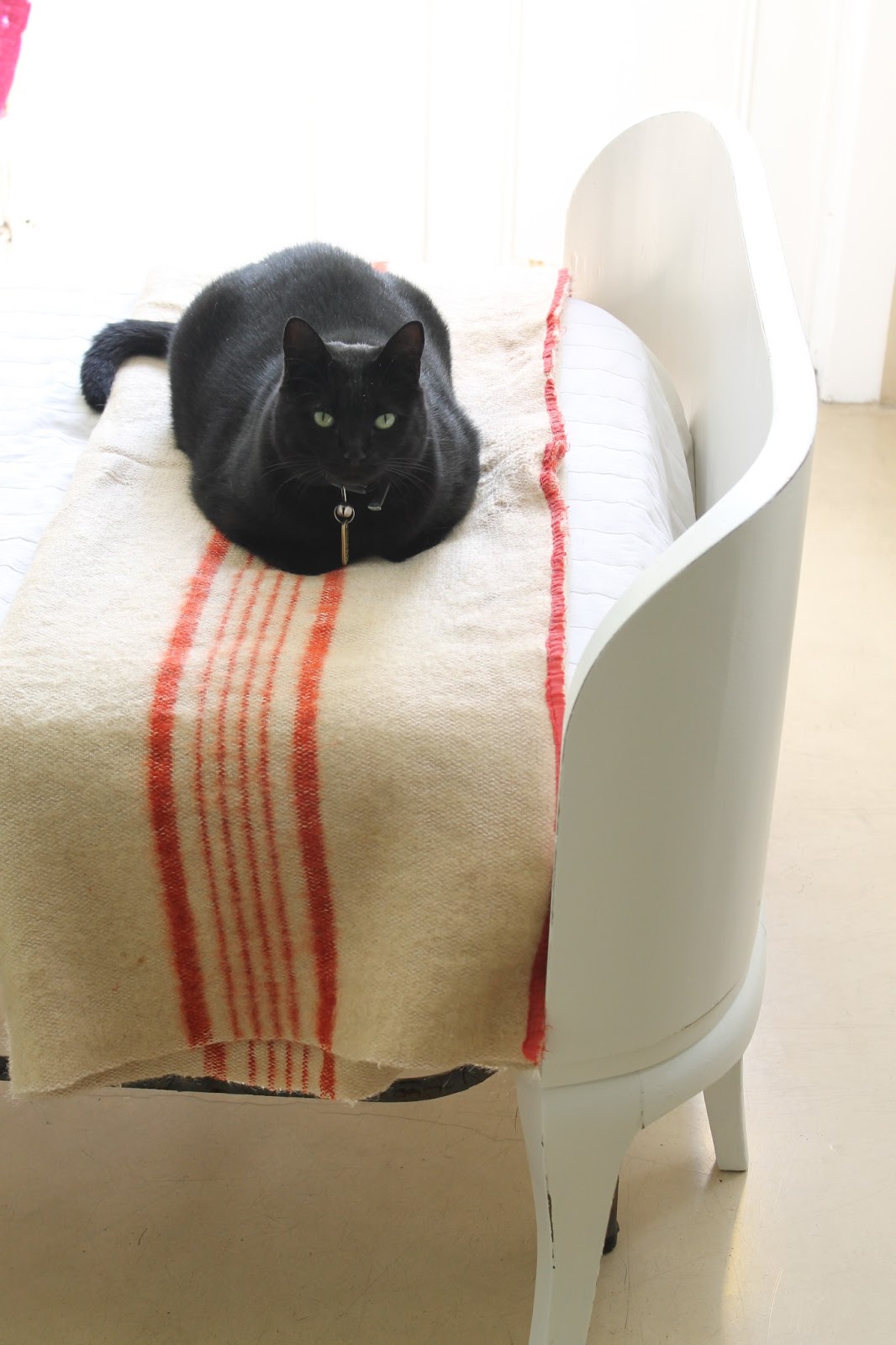 Styling & Cats / Deco Marce