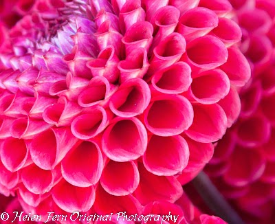 Helen Fern Original Photography: Silent Sunday