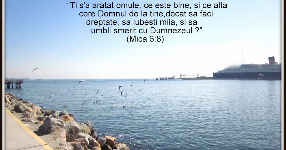 Prin Harul Lui Traiesc: O, DOAMNE,IN BUNATATEA TA...