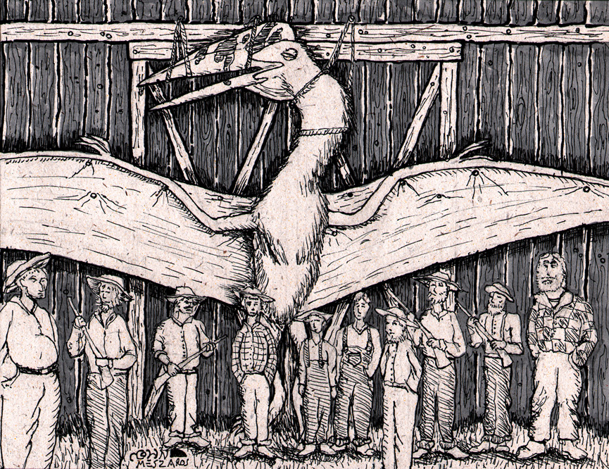 Cryptids State-by-State: Thunderbird Photo- Arizona