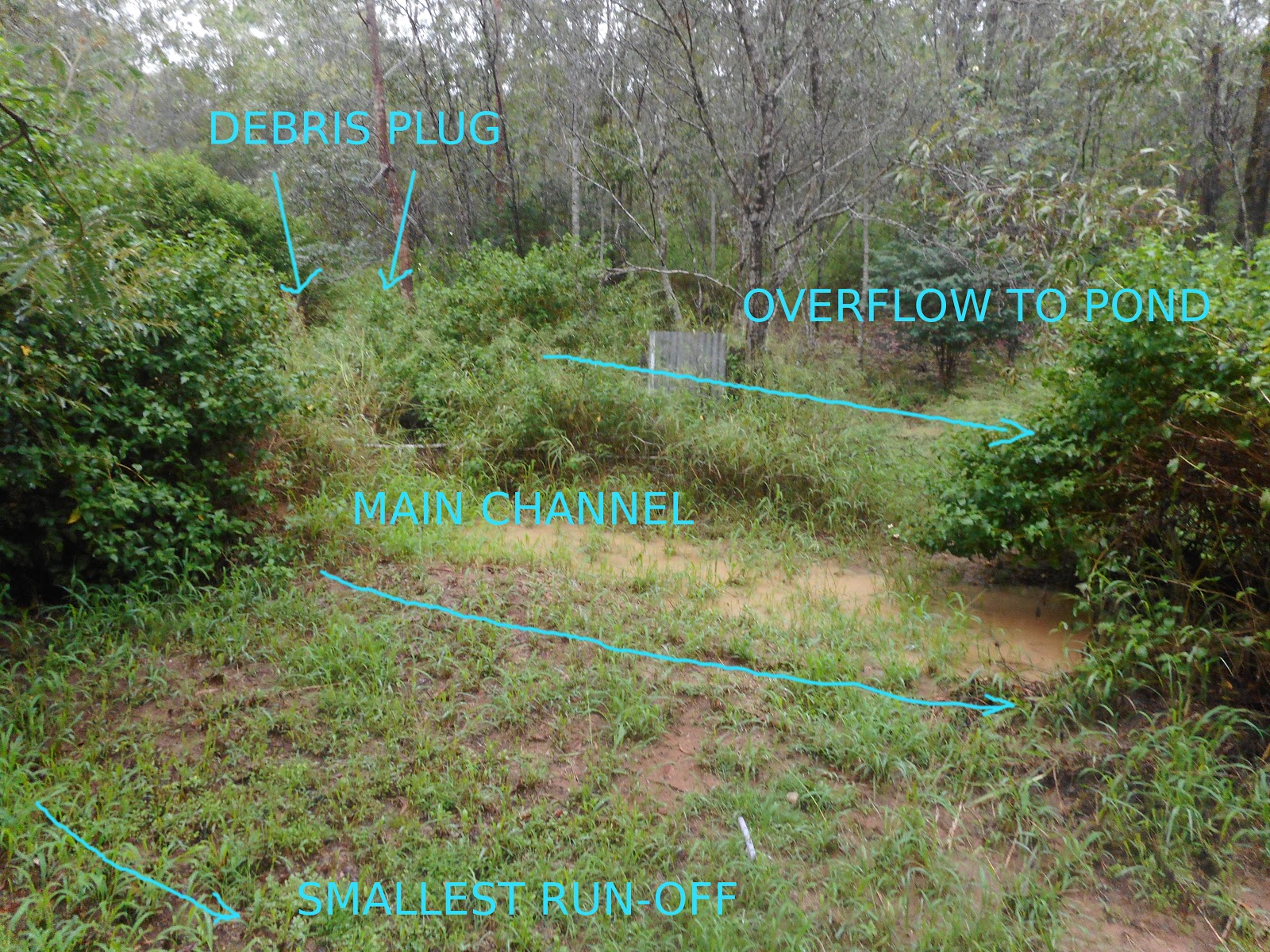 Gully Grove: Natural sequence farming